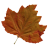 Maple Pharma